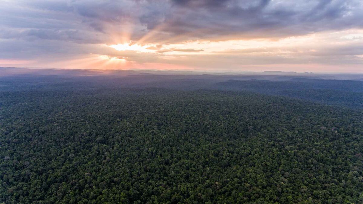 Southern Cardamom REDD+ Project - Southern Cardamom REDD+