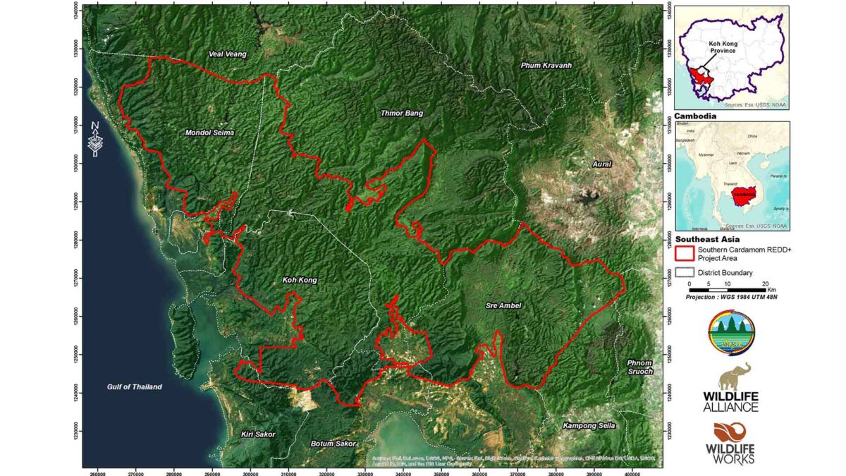 Southern Cardamom REDD+ Project - Southern Cardamom REDD+